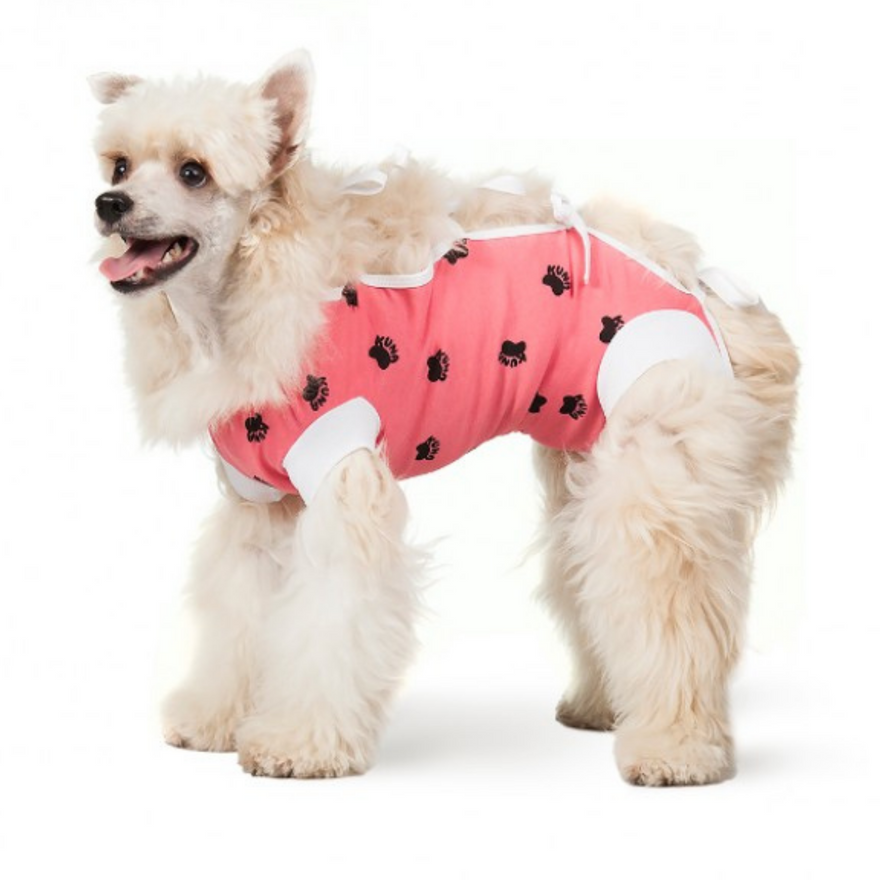 E-Collar Alternative | Cats, Dogs, and Rabbits | VetMedWear