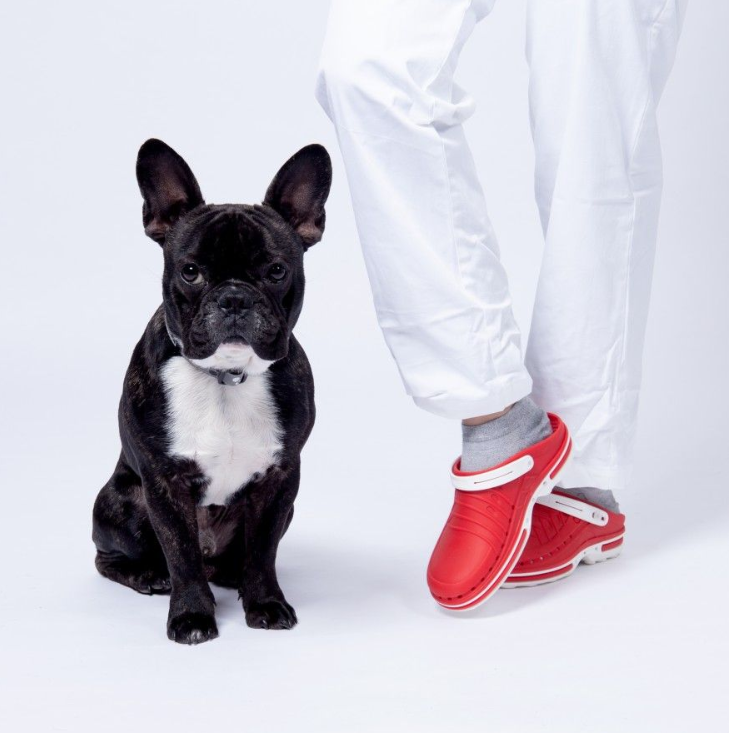 Medical Clogs | Footwear for Professionals