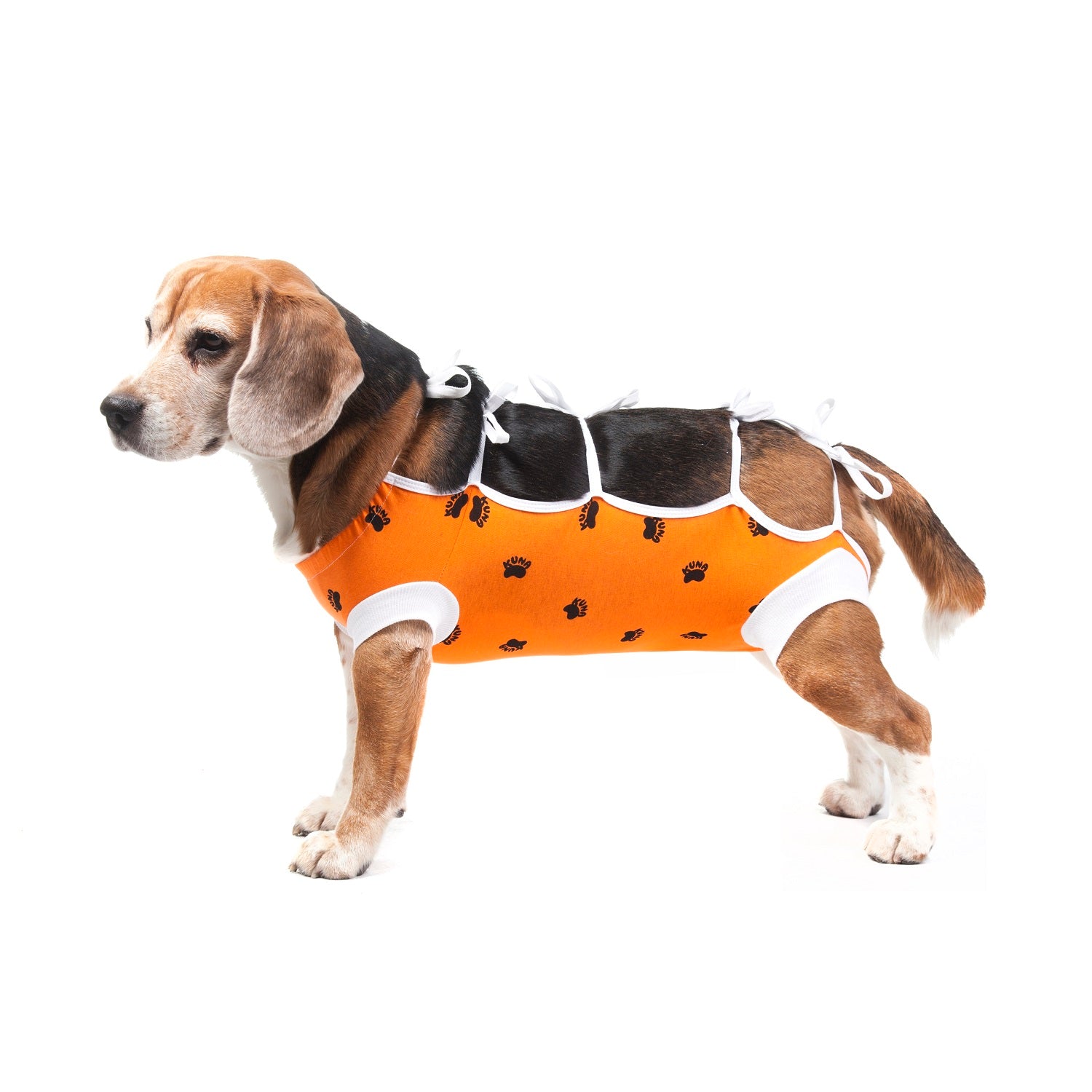 E-Collar Alternative | Cats, Dogs, and Rabbits | VetMedWear