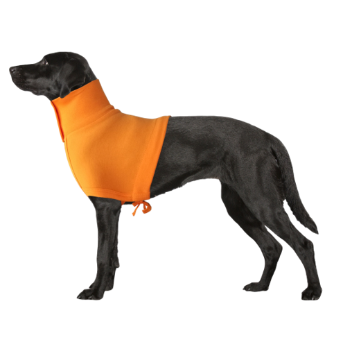 Neck and Upper Body Protective Dressing for Dogs