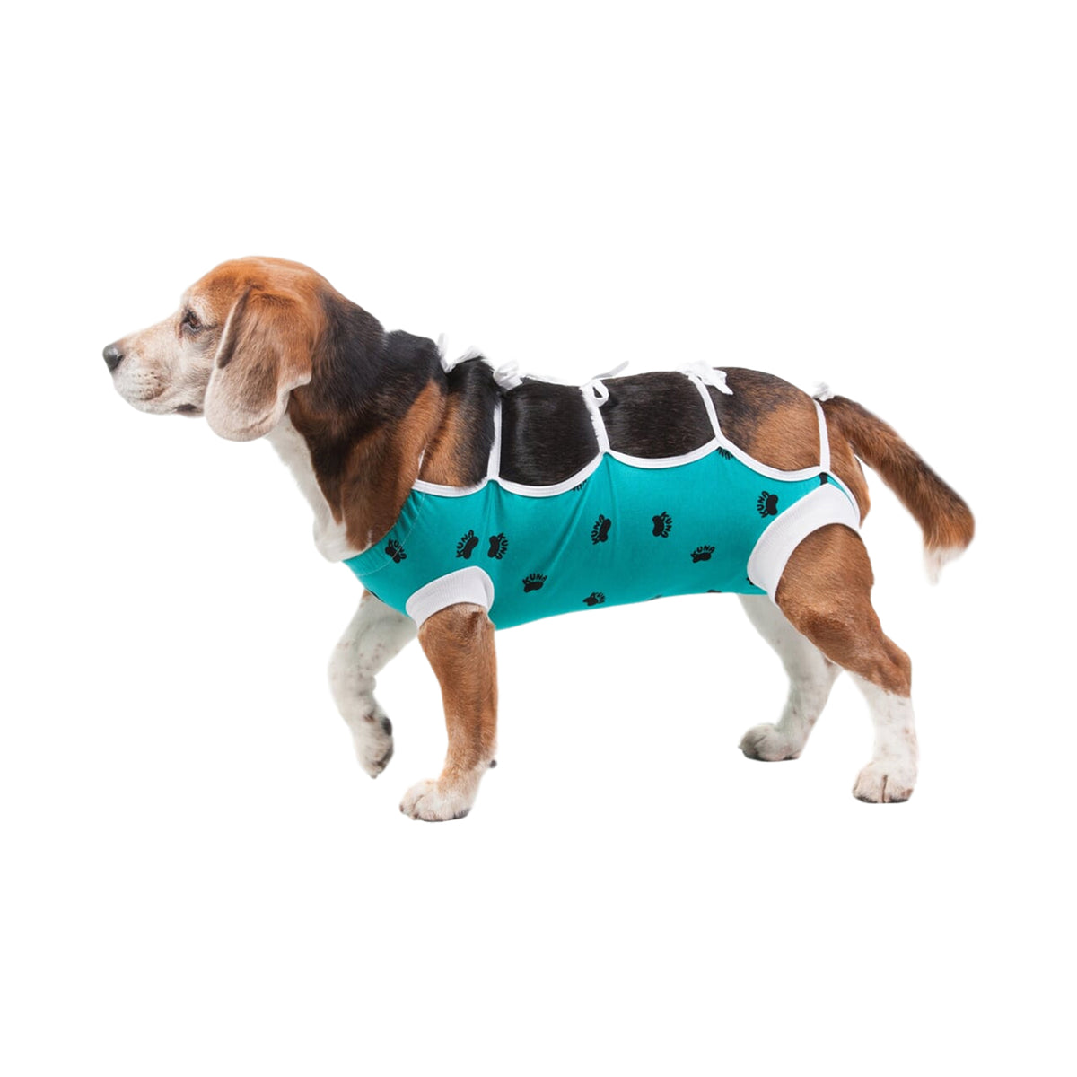 E-Collar Alternative for Cats, Dogs, and Rabbits